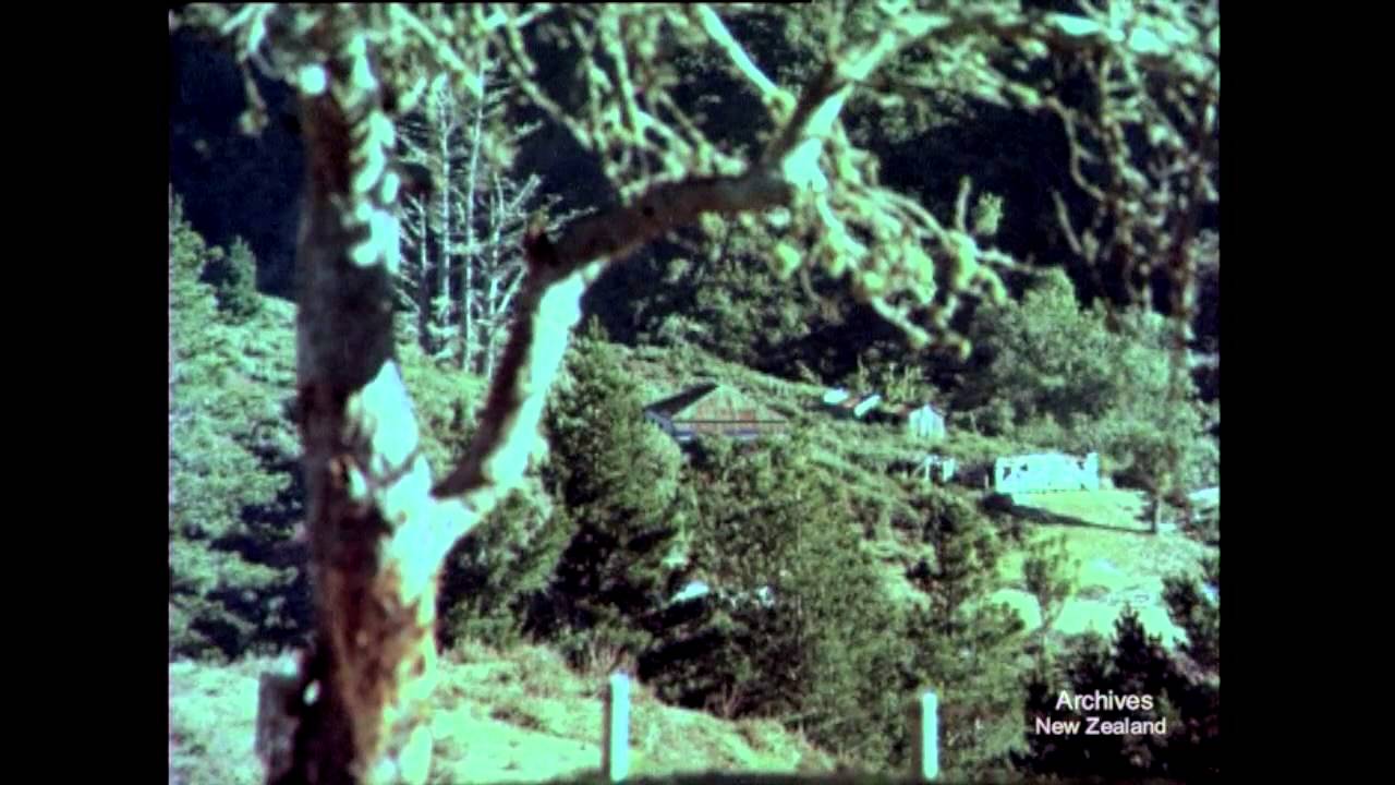Children of the Mist - Tūhoe Documentary 1974 - Māori Tube Videos
